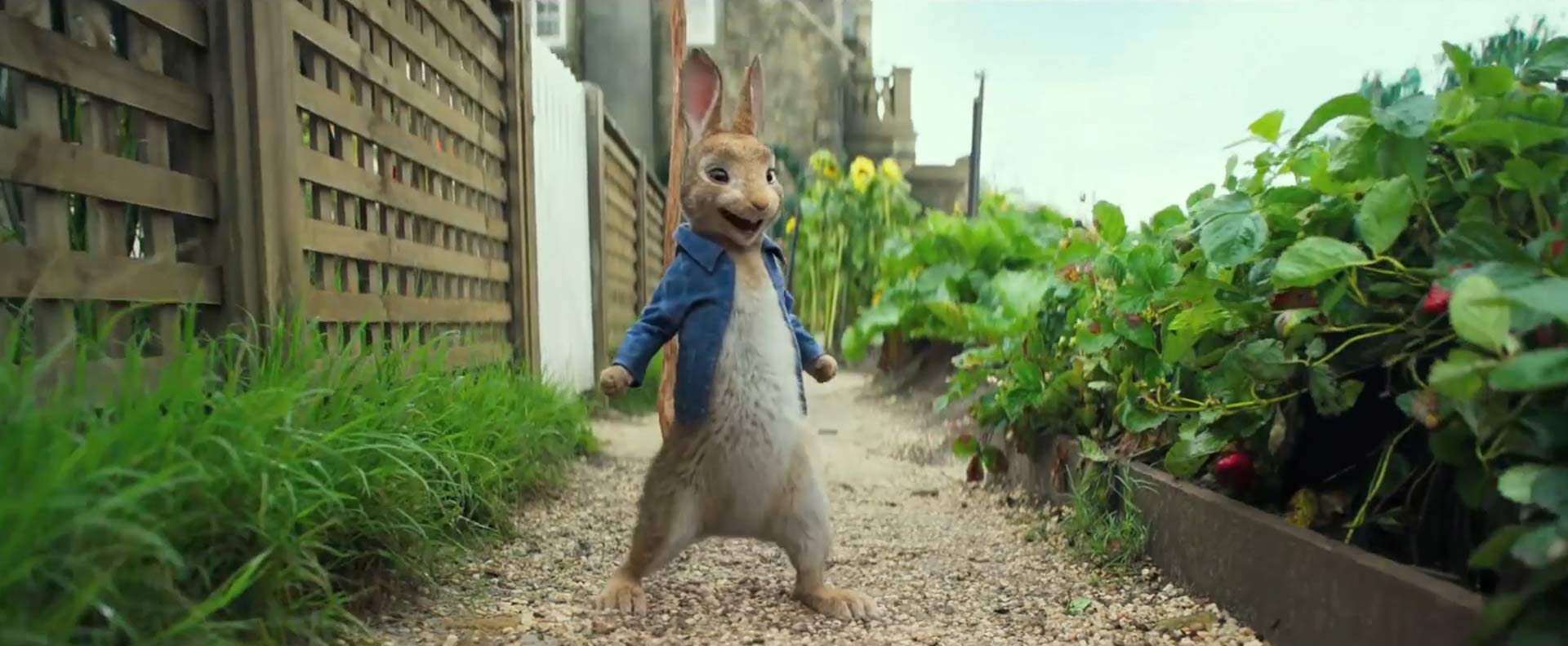 How Animal Logic beat the clock on Peter Rabbit | Foundry